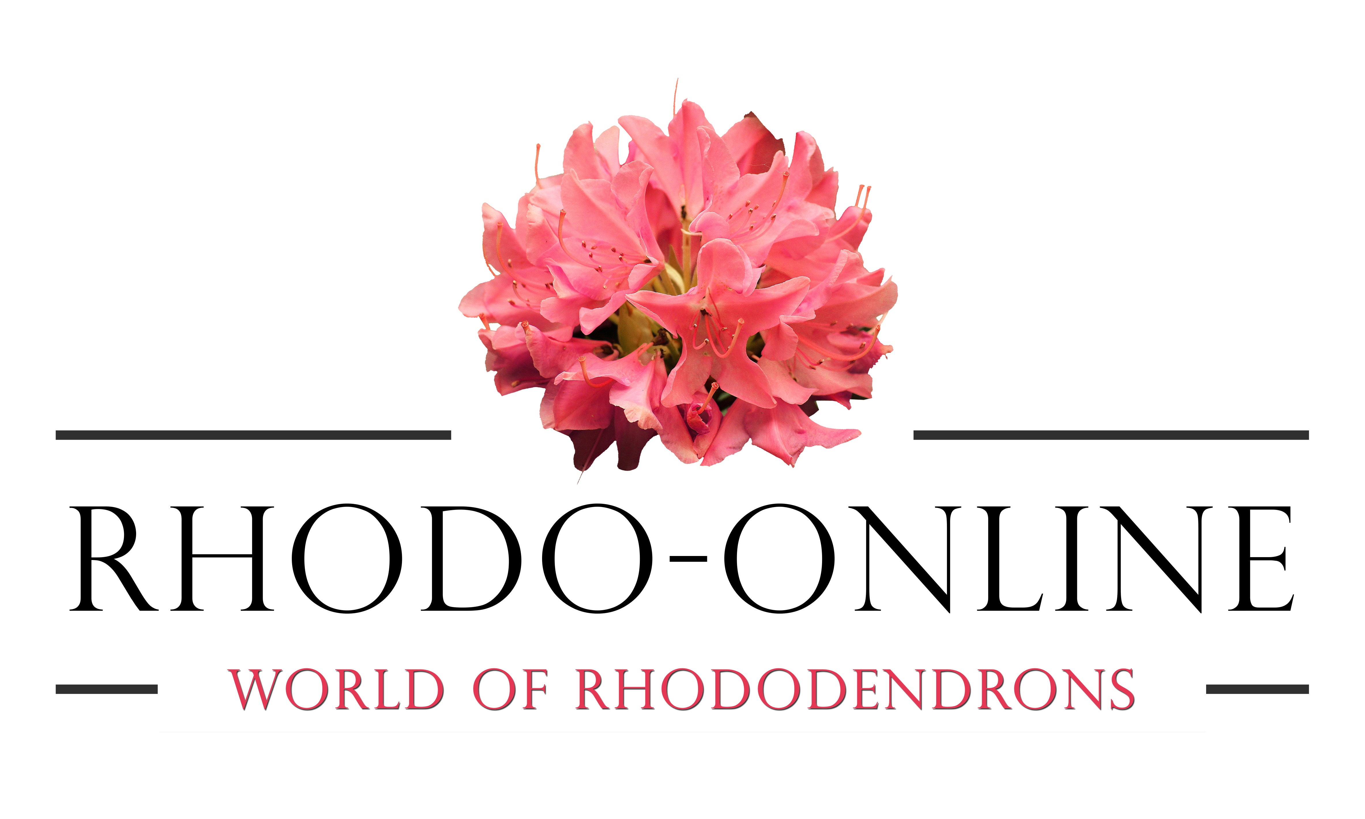 Tips en onderhoud – Rhodo-online
